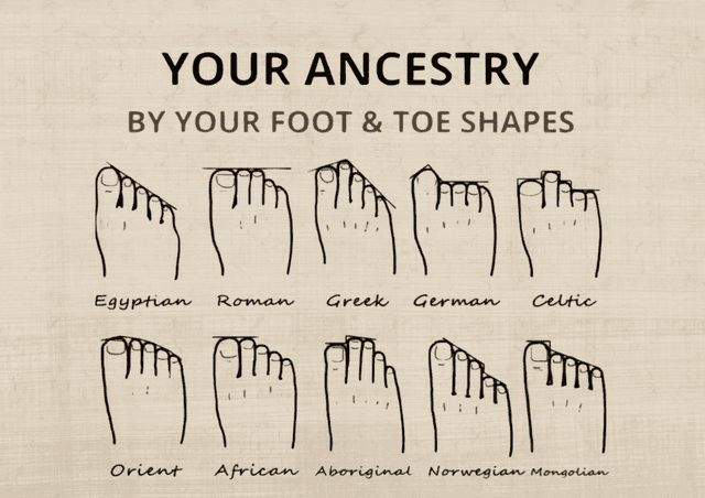 Feet Palmistry: Personality Traits from Your Foot Shape | Palmyst